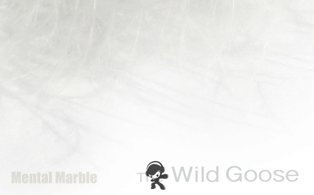 Mental Marble - The Wild Goose (Plugged) (Alternative Rock)